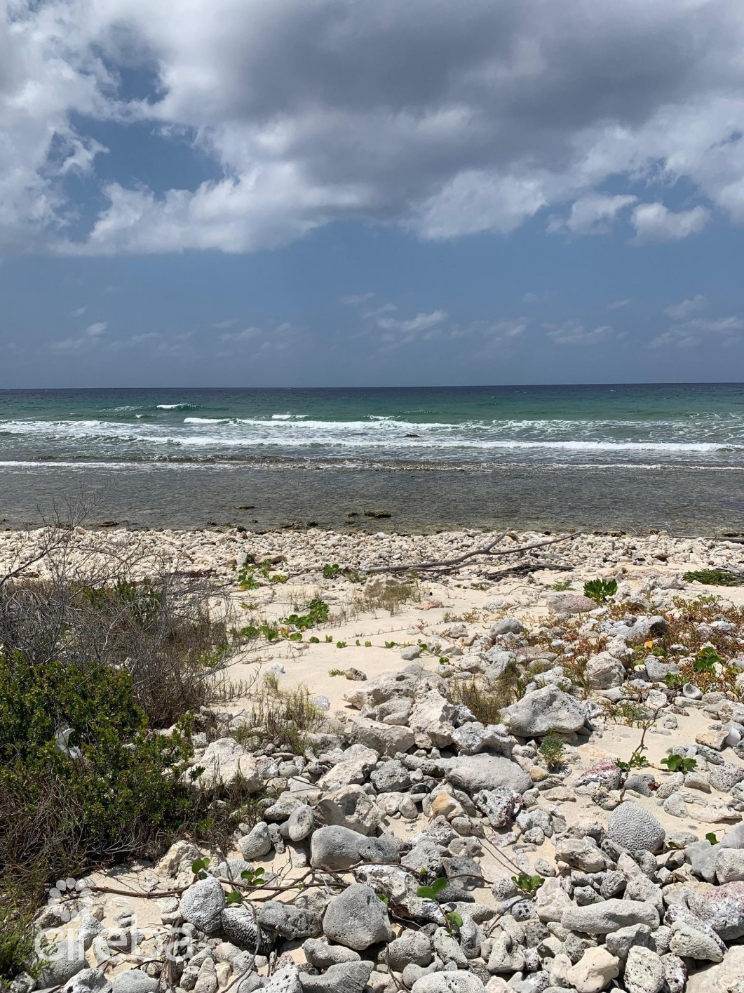 NORTHSIDE OCEAN FRONT AND INLAND PROPERTY by ERA CAYMAN ISLANDS - CIREBA